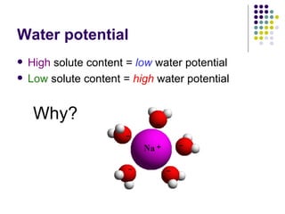 Chapter 3 Movement of Substances Lesson 1 - Diffusion and Osmosis | PPT