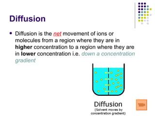 Chapter 3 Movement of Substances Lesson 1 - Diffusion and Osmosis | PPT