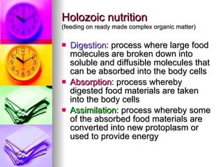Chapter 6 Nutrition in Humans Lesson 1 - The Need for Digestion | PPT
