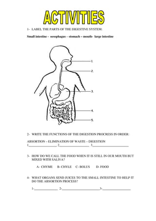1 digestion | PDF | Food & Drink