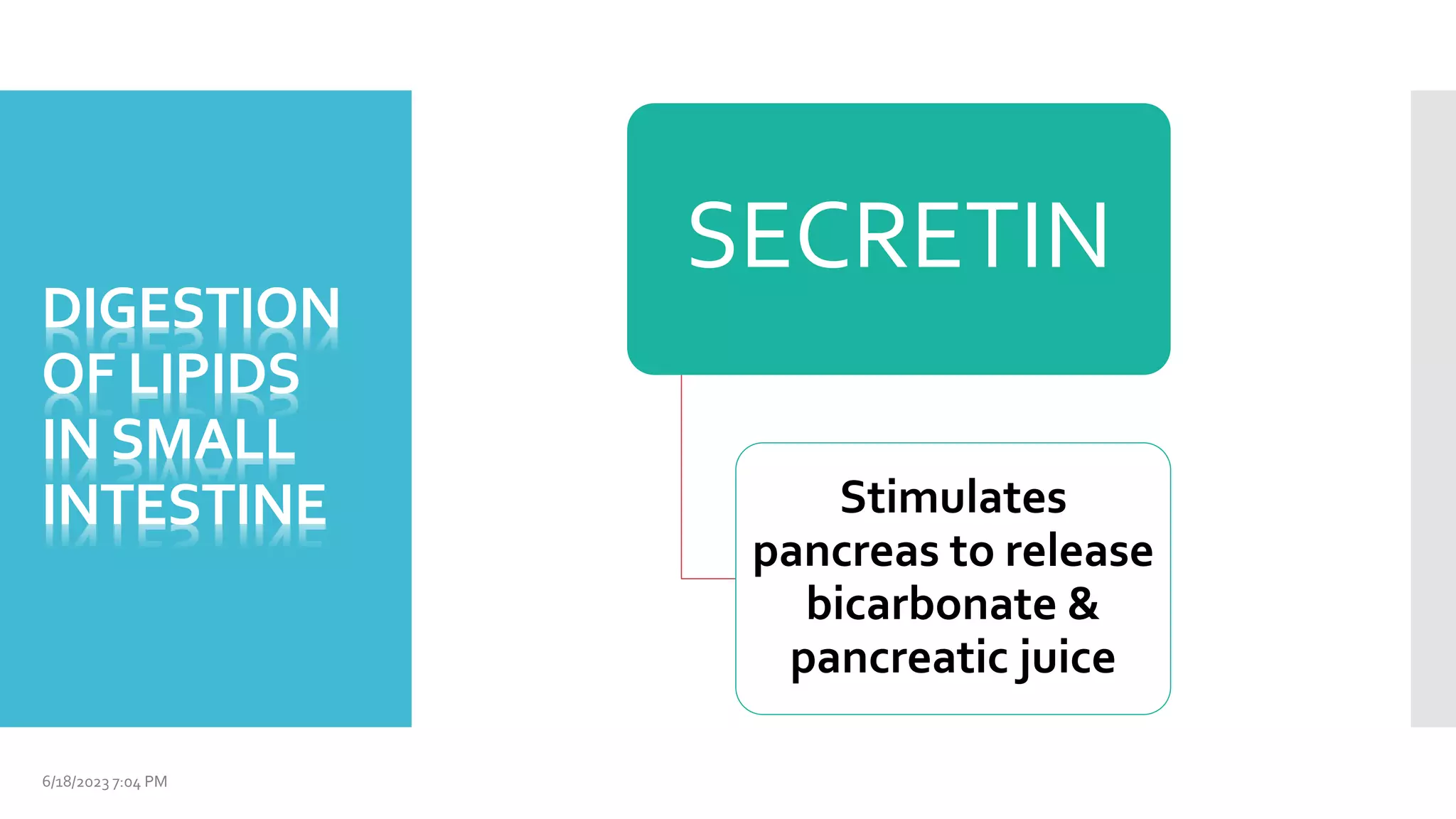 1 digestion absorption of lipid.pptx