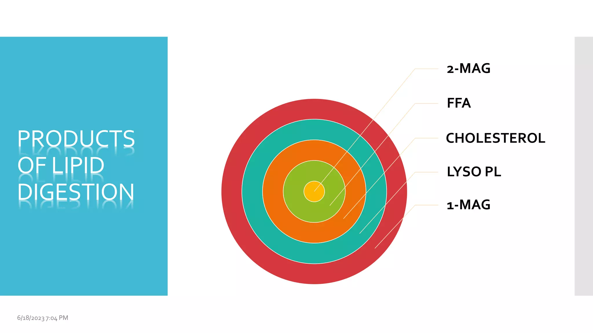 1 digestion absorption of lipid.pptx