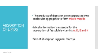 1 digestion absorption of lipid.pptx