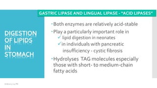 1 digestion absorption of lipid.pptx