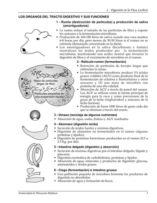 1 digestion en vacas lecheras | PDF