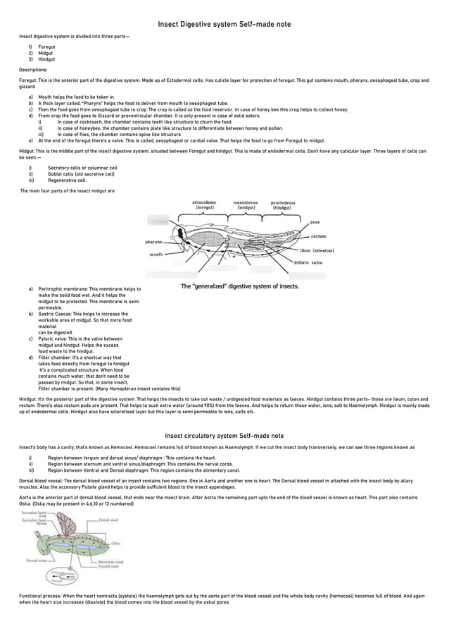 1)Digestive system, Nervous system, circulatory system self made note ...