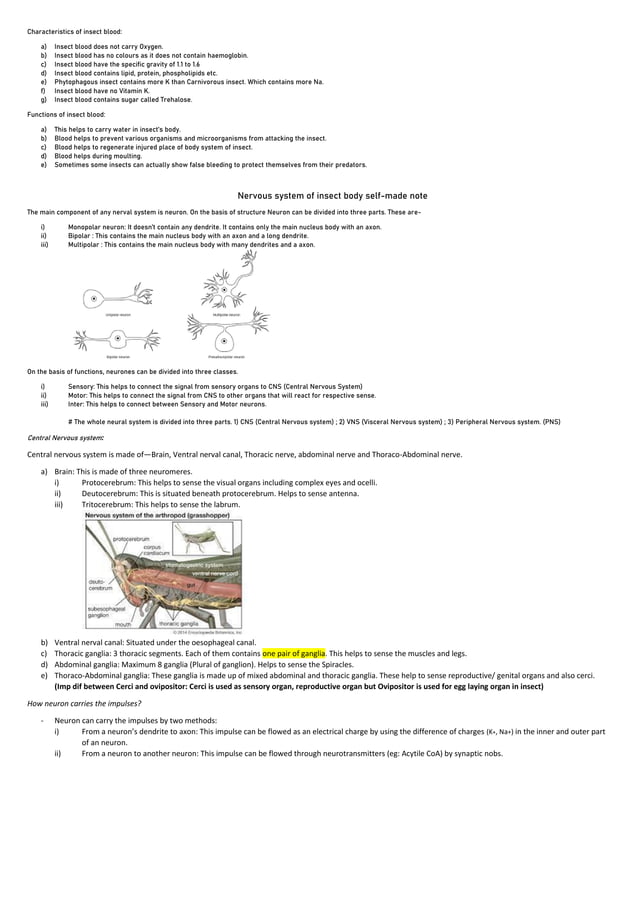 1)Digestive system, Nervous system, circulatory system self made note ...