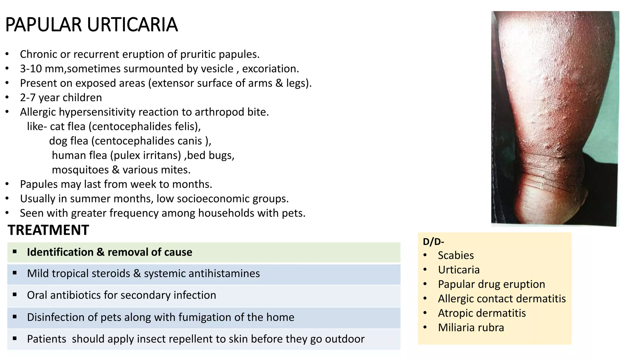 diseases caused by arthropods and Scabies | PPTX