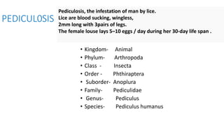 diseases caused by arthropods and Scabies | PPTX