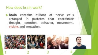 Multitasking: How brain works on different tasks | PPTX