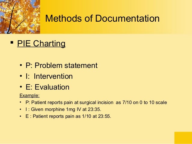 1 Documentation And Reporting 1 Documentation And Reporting