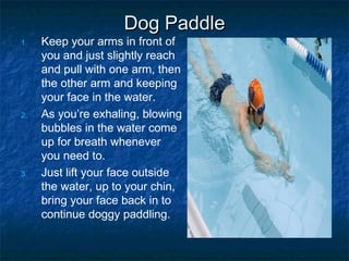 Swimming Stroke_Dog Paddle | PPT | Canoeing and Kayaking | Extreme Sports