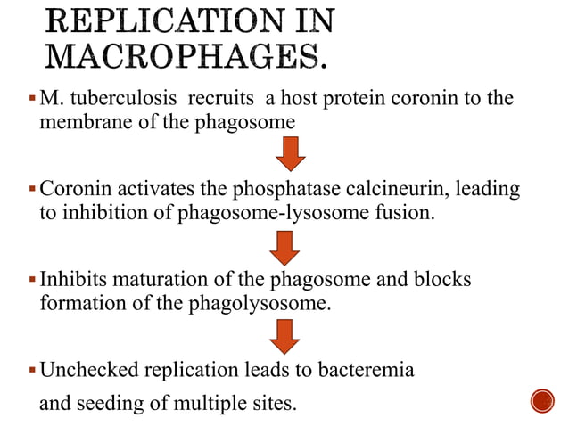 Pathophysiology of Tuberculosis and it's Complications | PPTX ...