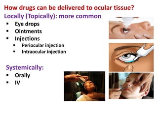 1) drugs acting on the eye of humans.ppt | Eye and Vision Conditions ...