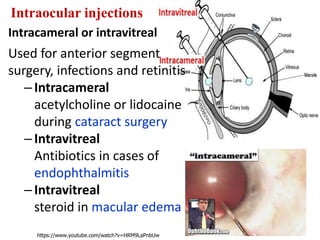 1) drugs acting on the eye of humans.ppt | Eye and Vision Conditions ...