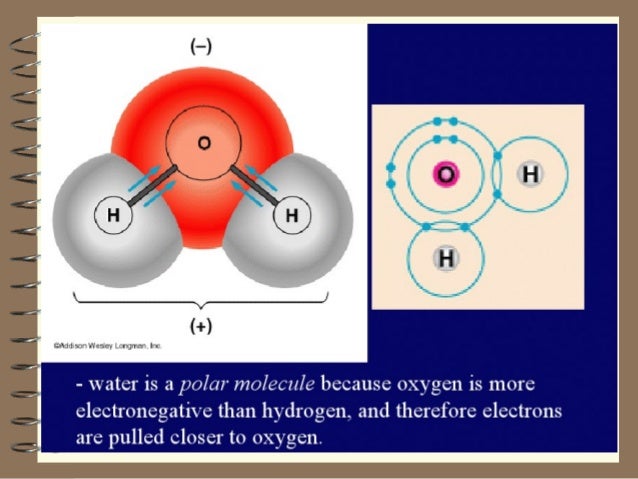 Polar Covalent Bond