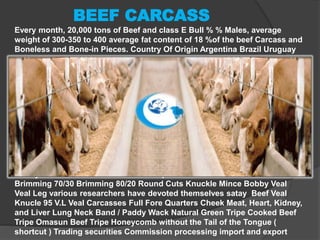 BEEF CARCASS2 | PPT