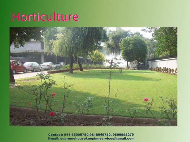 Final_SHS presentation | PPT