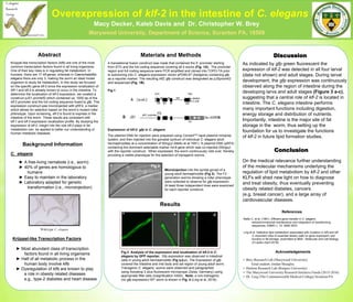 May 2016 Research Poster | PPT