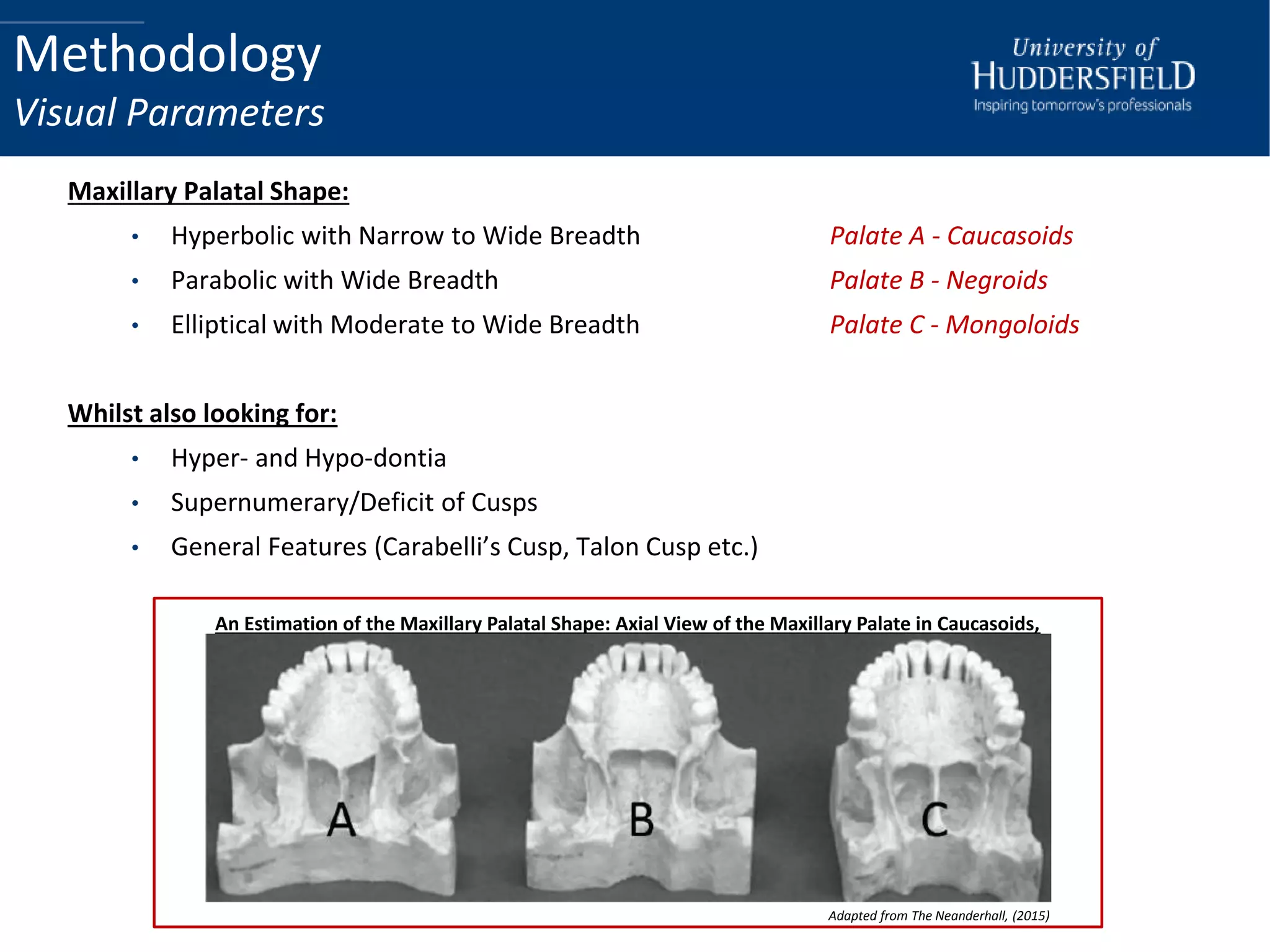 Determining Sex and Ethnicity from Bite Mark Evidence Presentation ...