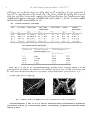 Quantitative analysis of hollow lumen in jute | PDF