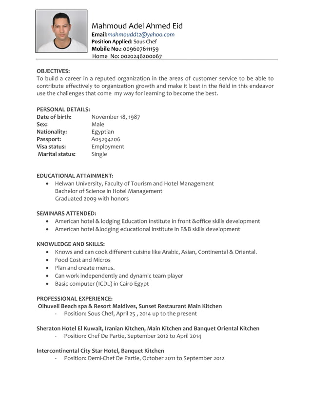 Mahmoud Adel CV | PDF