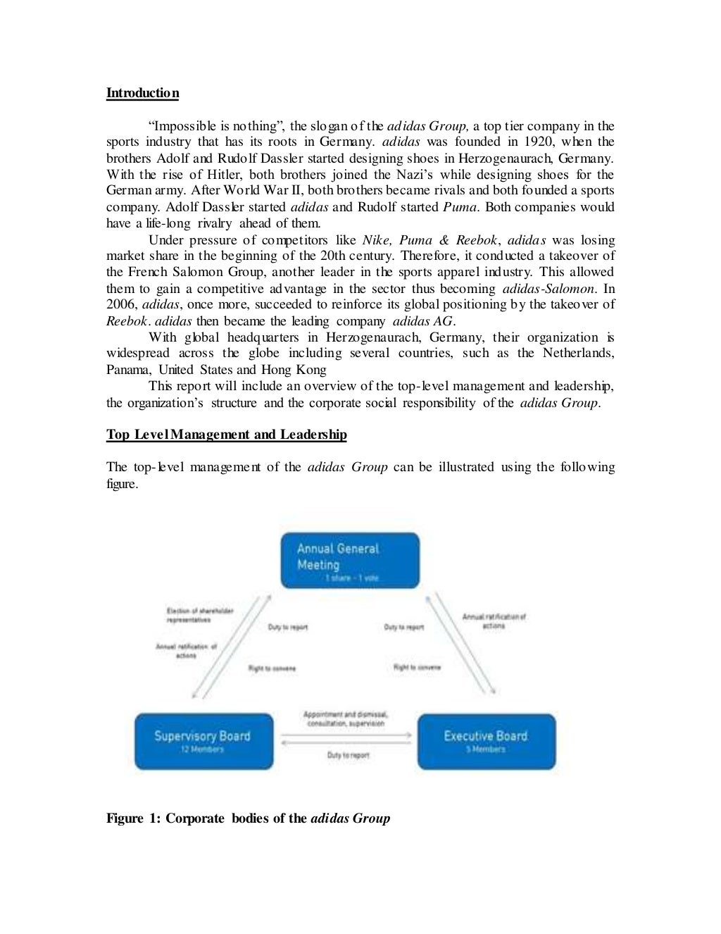 adidas Group- Management, Organizational Structure and CSR Analysis