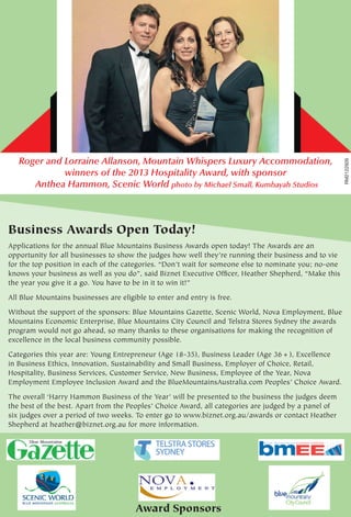 Business Awards 2013 | PDF