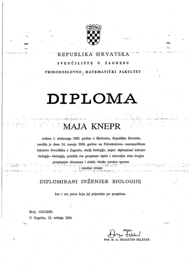 diploma | PDF