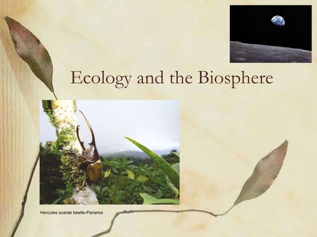 #1 Ecology and the Biosphere.ppt | Biological Sciences | Science