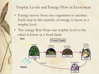 #1 Ecology and the Biosphere.ppt