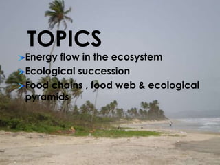 1 ecosys energy flow 2 pyramids | PPTX