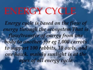 1 ecosys energy flow 2 pyramids | PPT