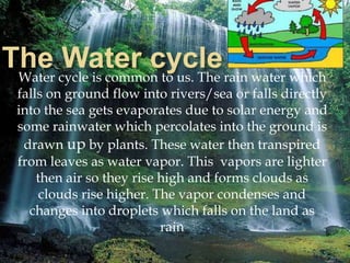 1 ecosys energy flow 2 pyramids | PPT