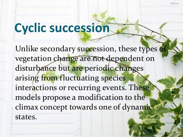 1 ecosys energy flow 2 pyramids