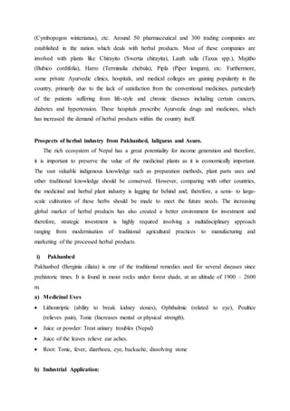 JB Report | DOCX | Herbs and Supplements | Alternative Medicine