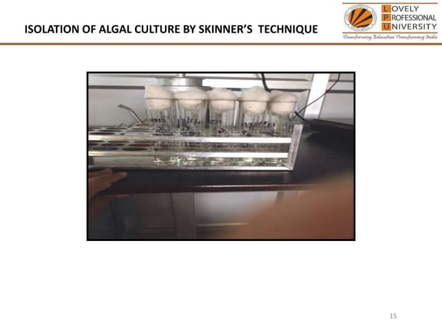 Industrial Training ppt | PPT