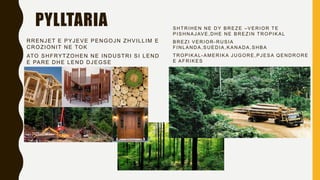Ekonomia | PPT