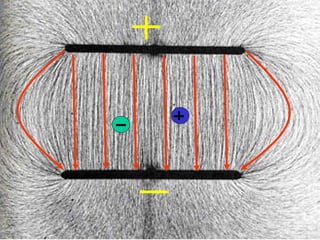 Electric Fields | PPT