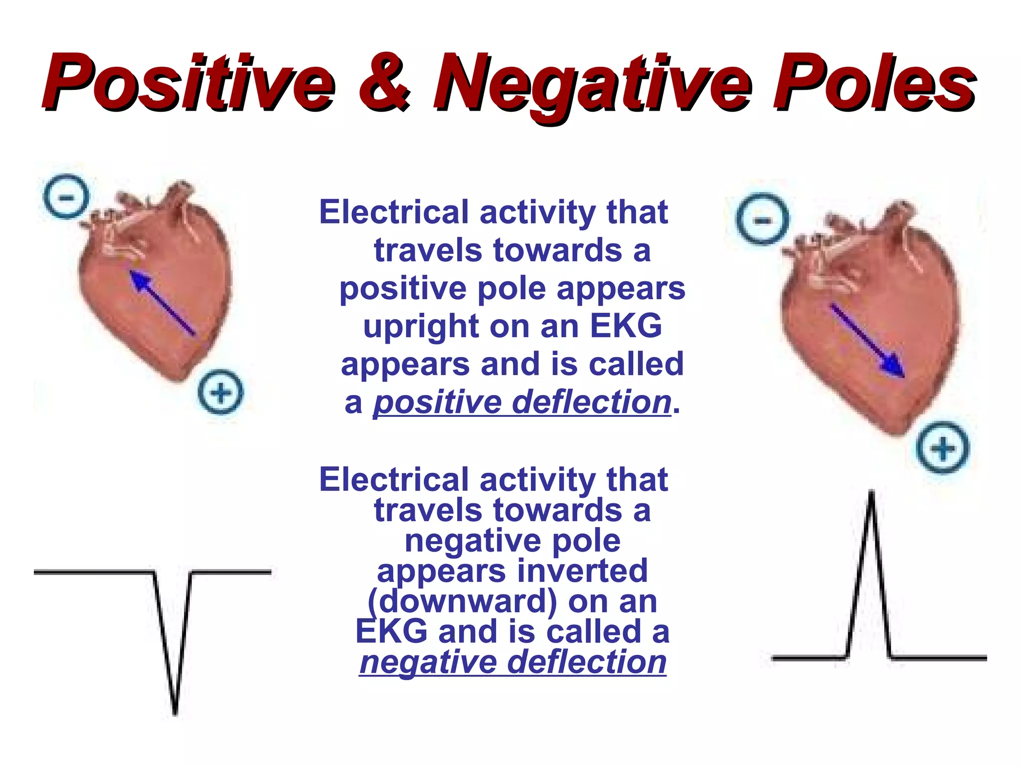 Cardiac Electrophysiology | PPT