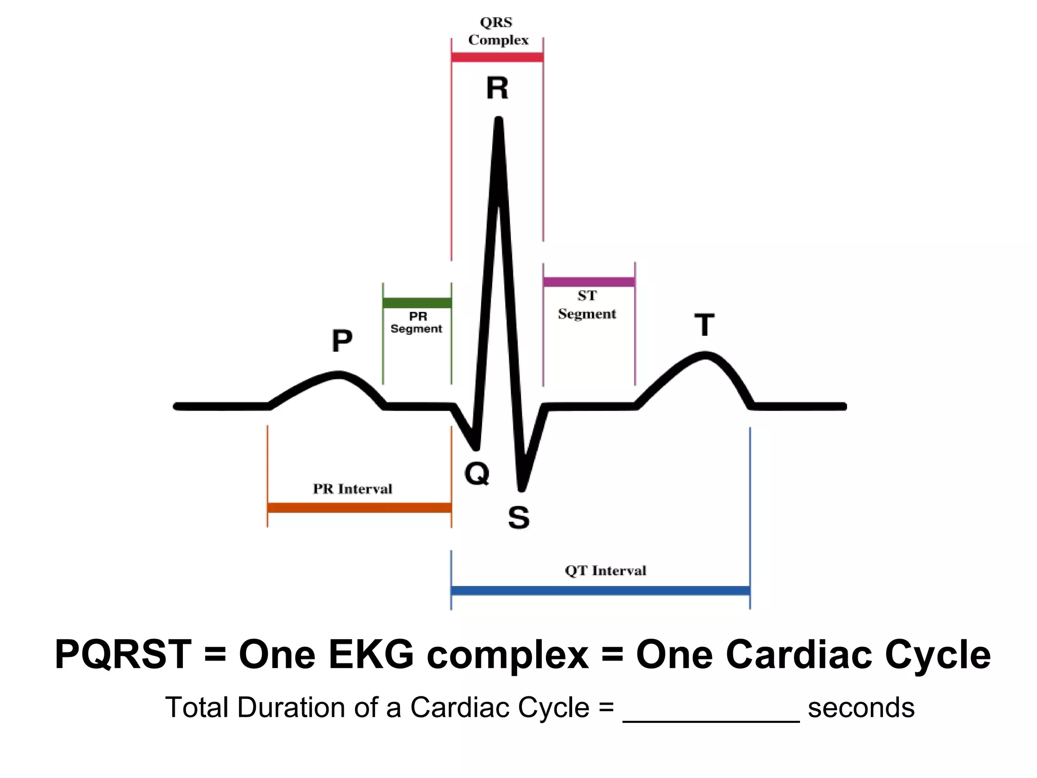 Cardiac Electrophysiology | PPT
