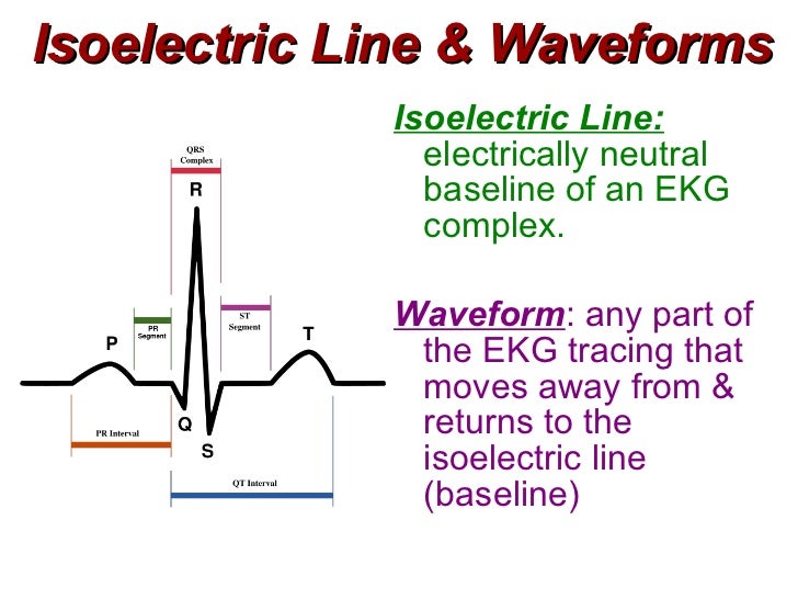 Cardiac Electrophysiology