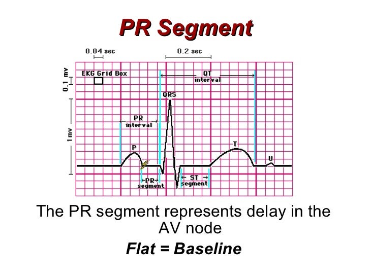 Cardiac Electrophysiology