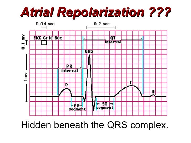 Cardiac Electrophysiology