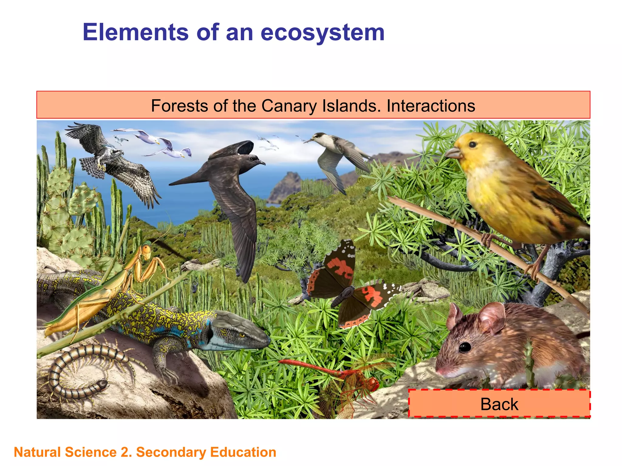 Elements of an ecosystem | PPT
