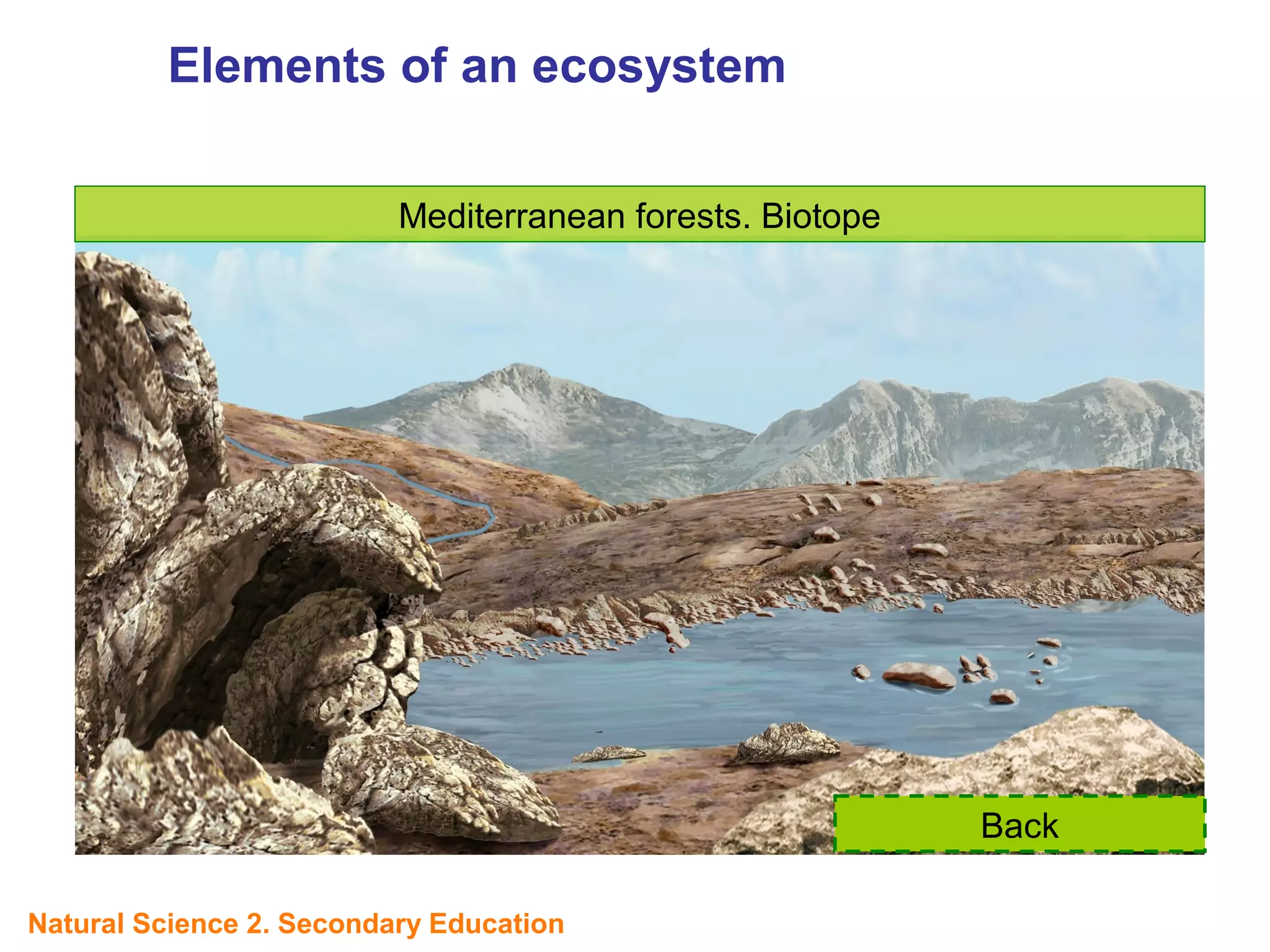 Elements of an ecosystem | PPT