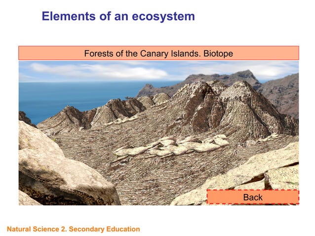Elements of an ecosystem | PPT