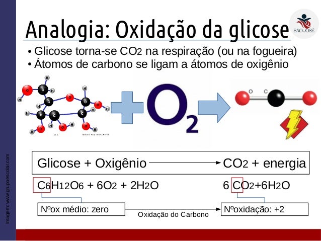 1EM #17 Metabolismo: introducao