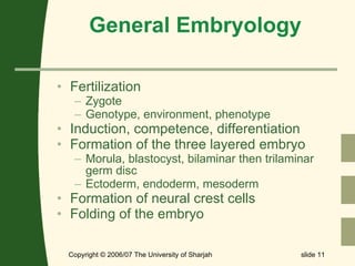 1 embryology | PPT