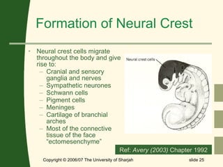 1 embryology | PPT